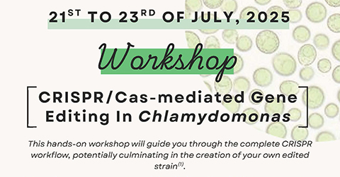CRISPR-Cas Workshop | Molnar Lab | Biology