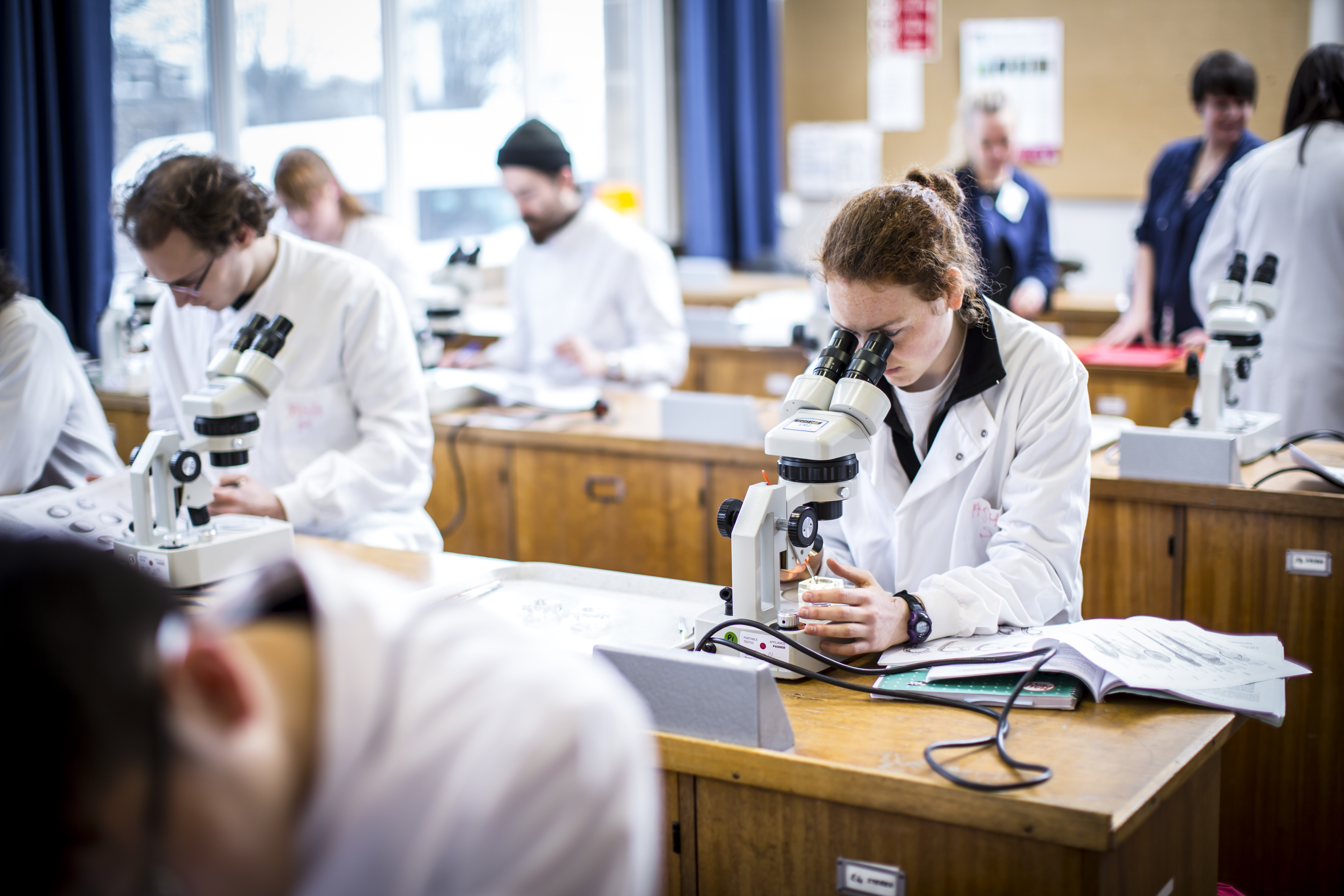 Coursework and Assessments | Undergraduate | Biology