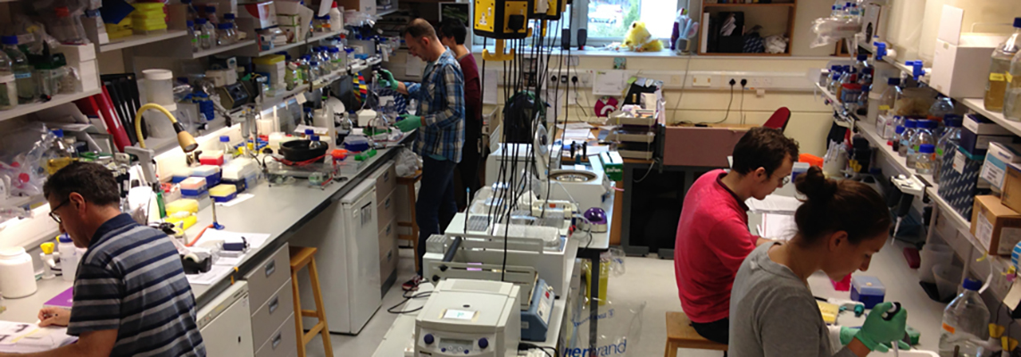 Our Research | Bird Lab | Biology