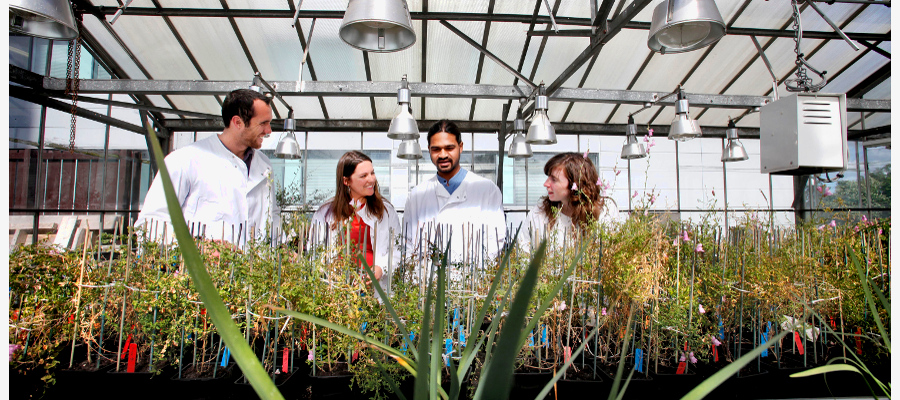 Who We Are | Molecular Plant Sciences | Biology