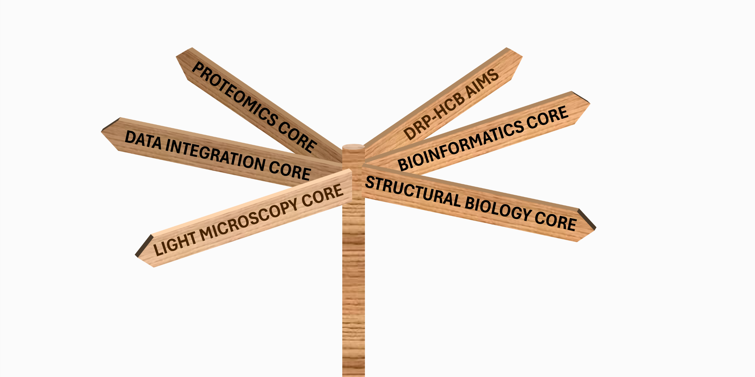 Guidance for using the Platform | Discovery Research Platform for ...