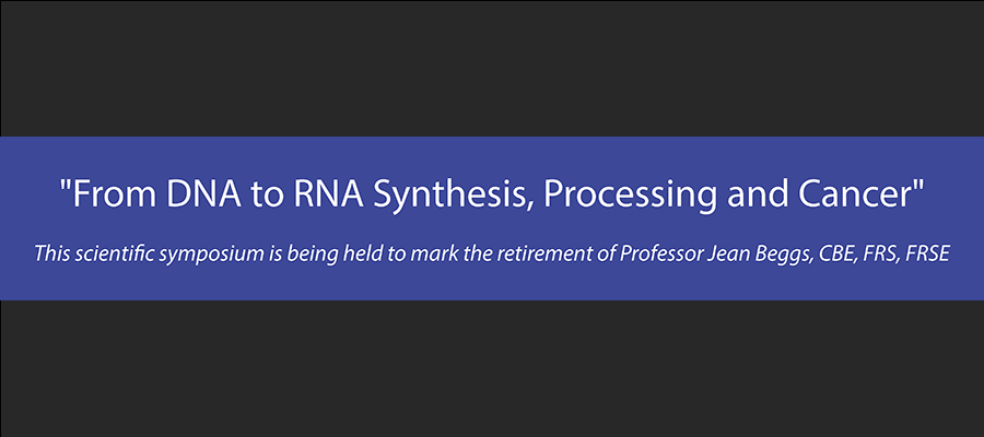 Symposium held to mark Jean Beggs' retirement | Beggs Lab | Biology