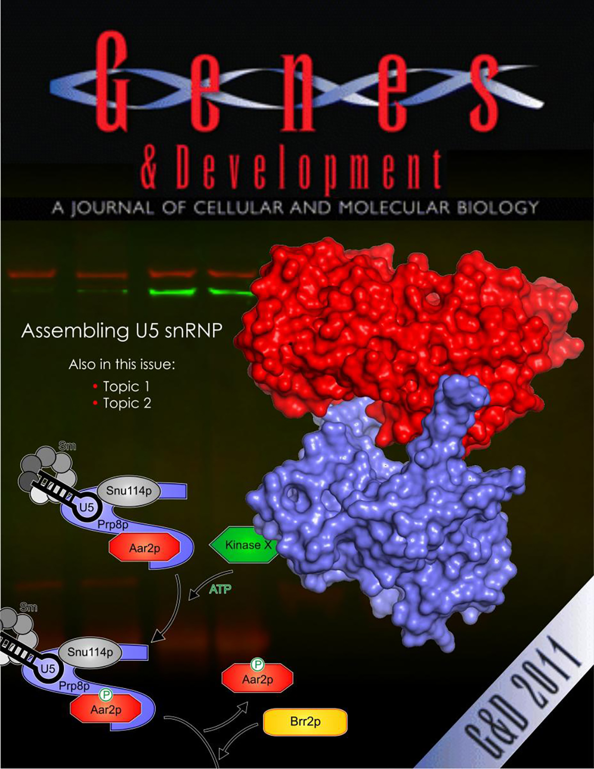 Former projects | Beggs Lab | Biology