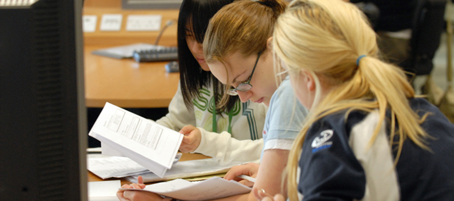 Year 3 Transition - Junior Honours | Undergraduate | Biology